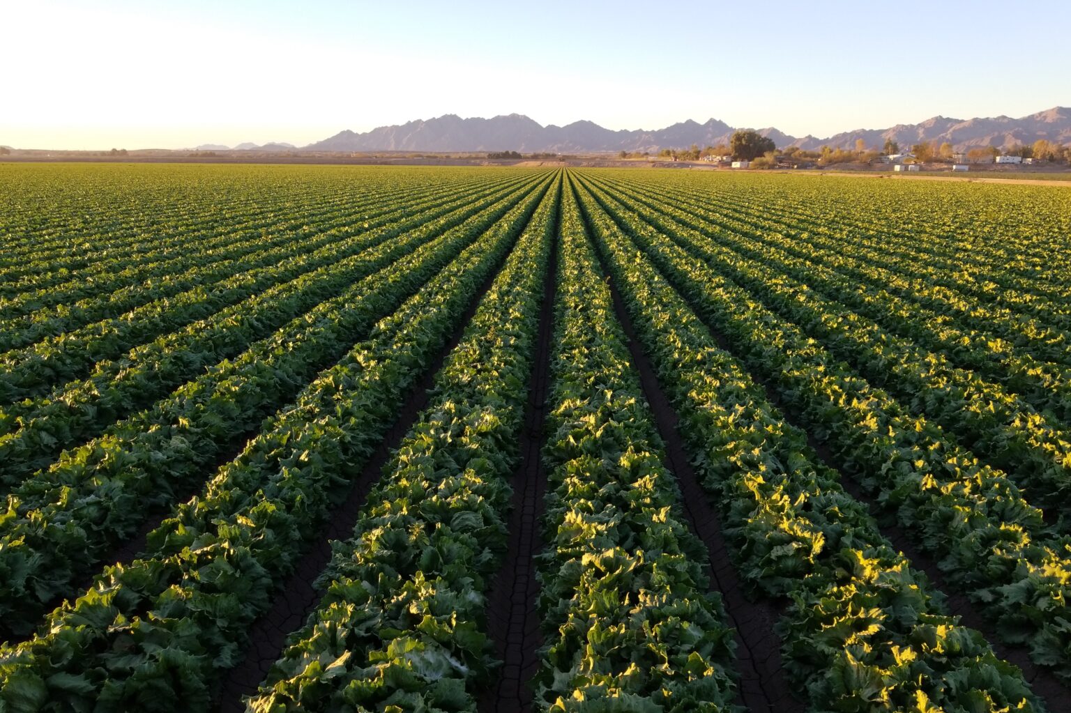 Growing Regions – Bonipak Produce Inc