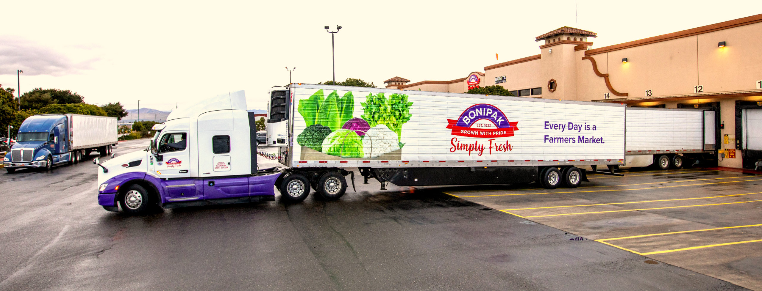 Growing Process – Bonipak Produce Inc