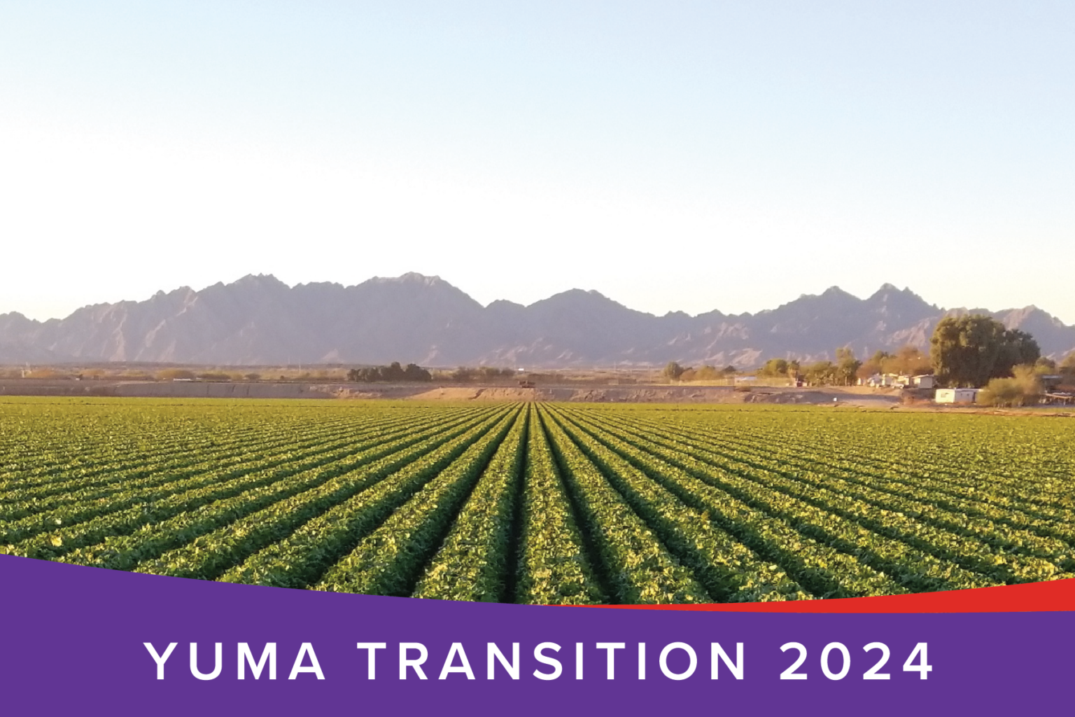 Yuma County Fuels U.S. Winter Produce Supply, Adopts New Ag Technology ...